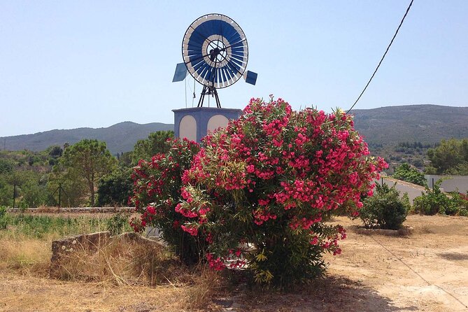 Mountain Bike Tour Font De La Mata - What to Expect on the Tour