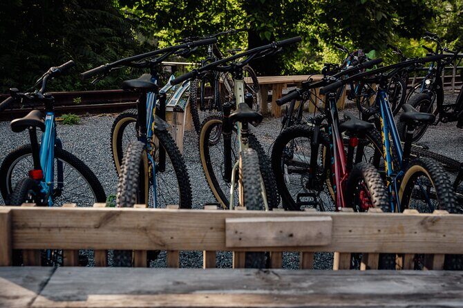 Mountain Bike Tour from The Roanoke Star - The Itinerary: What to Expect on the Trail