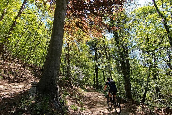Mountain Bike Tour in Spina Verde Natural Park - About Your Stay
