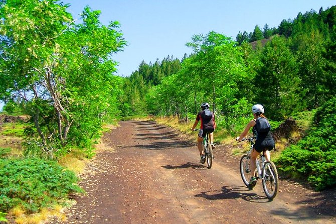 Mountain Biking Etna by MTB or E-Bike - Reviews and Feedback From Travelers