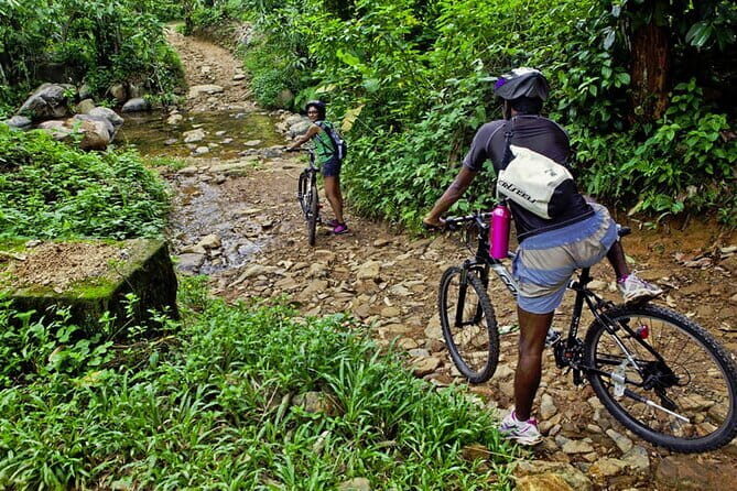 Mountain Biking from Galle - An In-Depth Look at the Mountain Biking from Galle