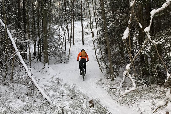 Mountain Biking Small-Group in Stockholm Forests for Beginners - Real Traveler Insights