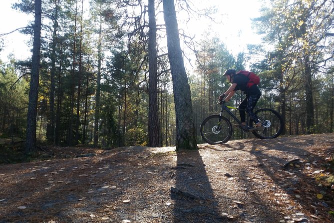 Mountain Biking Small-Group in Stockholm Forests for Beginners - The Sum Up: Who Will Love This Tour?