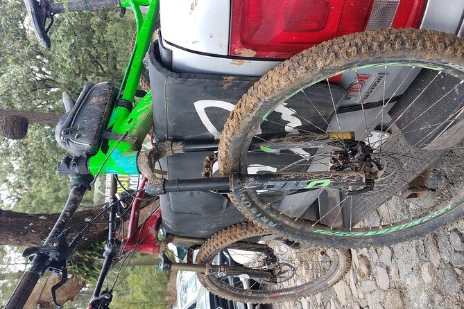 Mountain Biking Tour at La Primavera Forest - The Sum Up