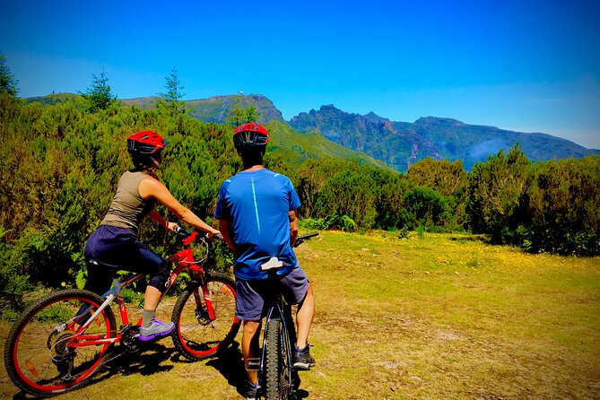 Mountain Biking Tour - Beginner Easy - Tour Experience