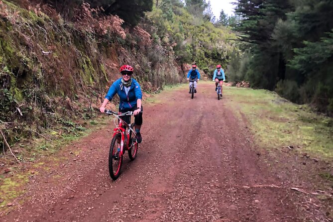 Mountain Biking Tour - Beginner Easy - Customer Reviews