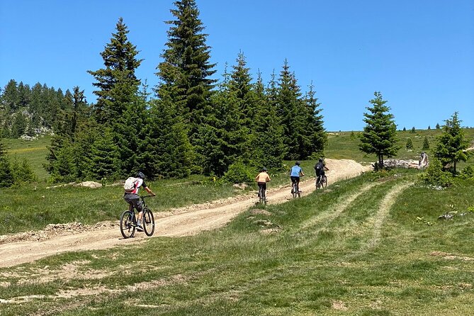 Mountain Biking Tour - Who Would Enjoy This Tour?