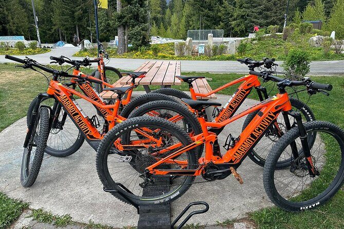 Mountain Breeze Tour - Mountain E Bike - Whistler Marmot Activity - Who Will Love This Tour?
