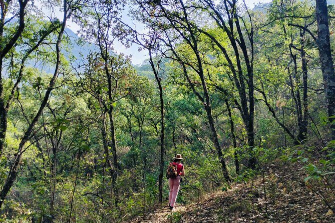 Mountain Hike & Rituals - Exploring the Mountain Hike & Rituals: What You Can Expect