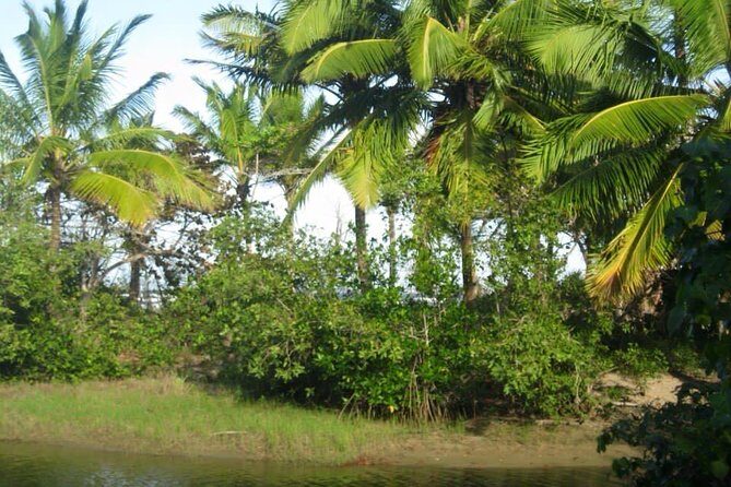 mountain horse back riding - An Authentic Ride into the Mountains of Puerto Plata