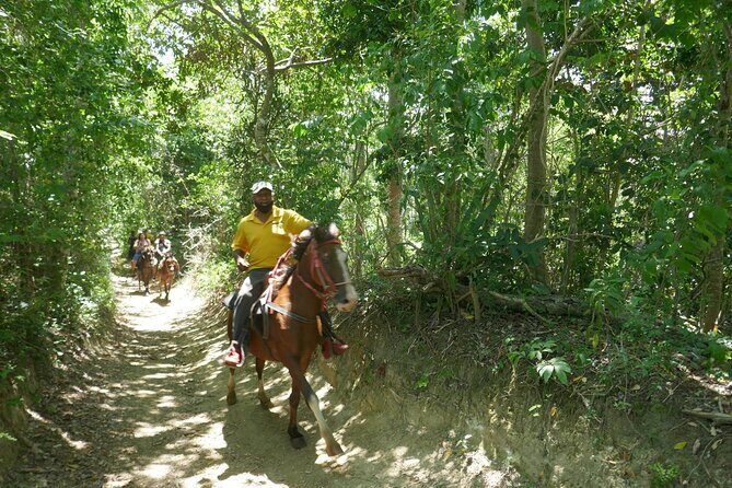 mountain horse back riding - Who Would Love This Experience?