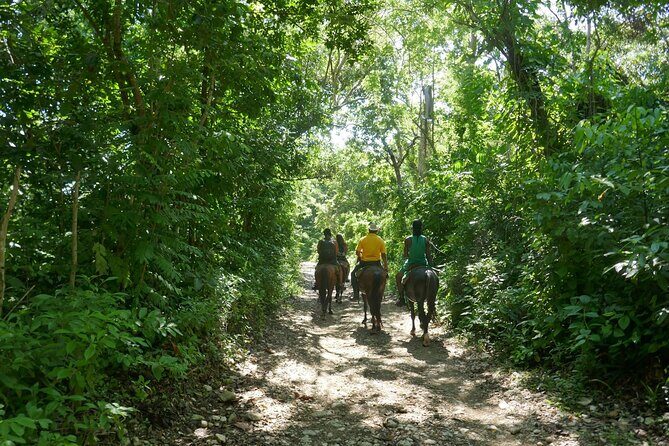 mountain horse back riding - FAQ