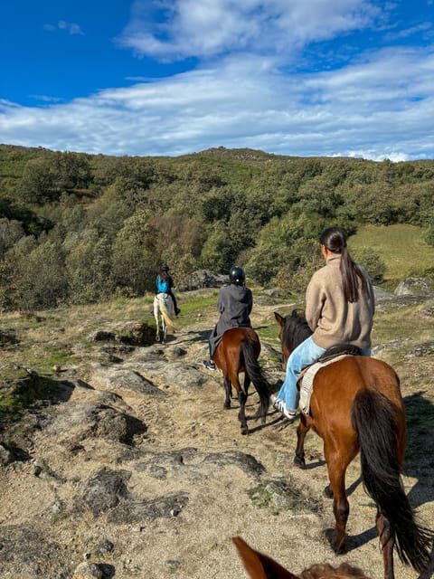 Mountain Horseback Ride, Lunch, Wine Tasting - An In-Depth Look at the Tour