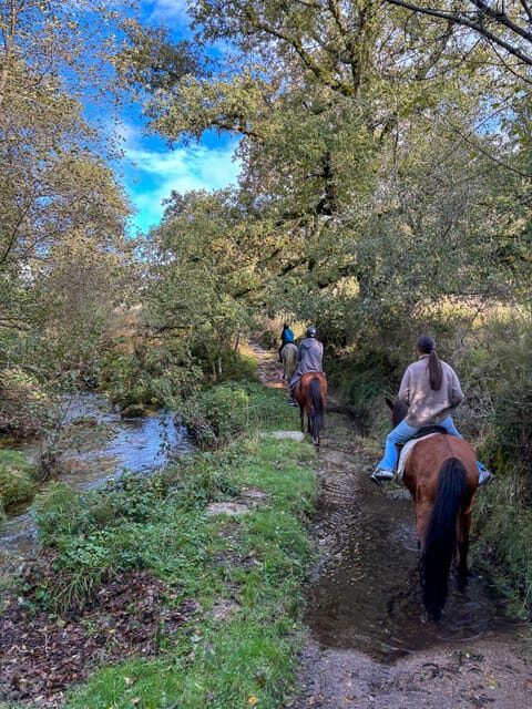 Mountain Horseback Ride, Lunch, Wine Tasting - FAQ