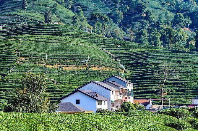 Mountain Lake Hiking -1-Day Scenic Trailwalking in Anhui Province - Frequently Asked Questions