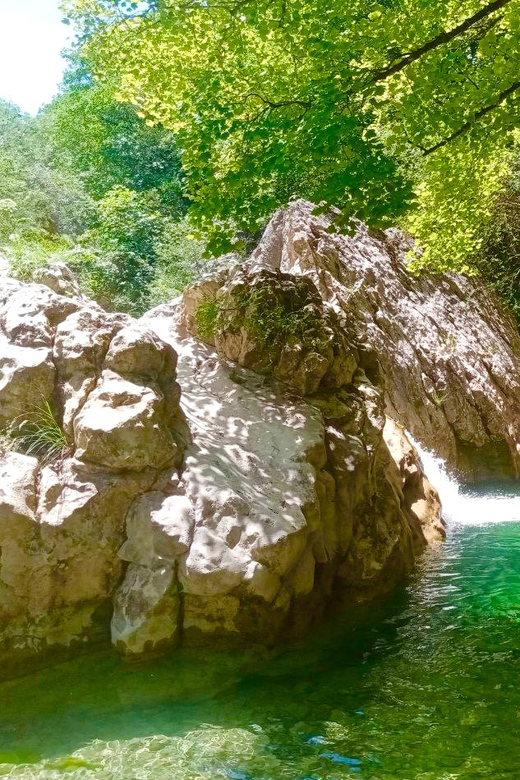 Mountain Train Experience: Hike & Mystic Forest (From Nice) - What’s Included and What to Bring