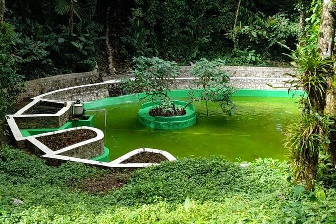 Mountain View and City Tours - FAQ