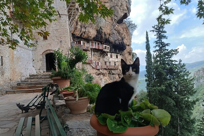 Mountain Villages of Peloponnese, Monasteries and Lousios River Private Day Trip - Exploring the Mountain Villages of Peloponnese: A Private Day Trip Review