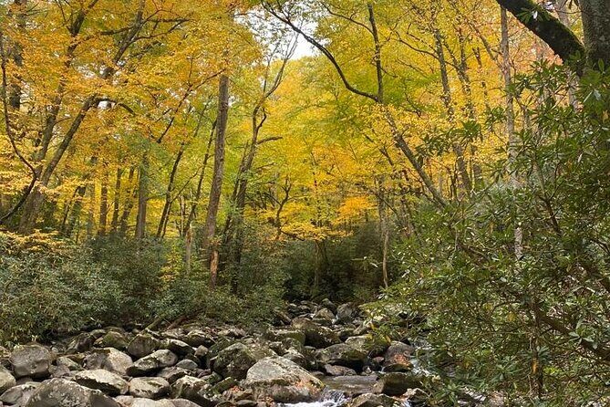 Mountaineer's Way Hike in the Smokies - Who Is This Tour Best For?