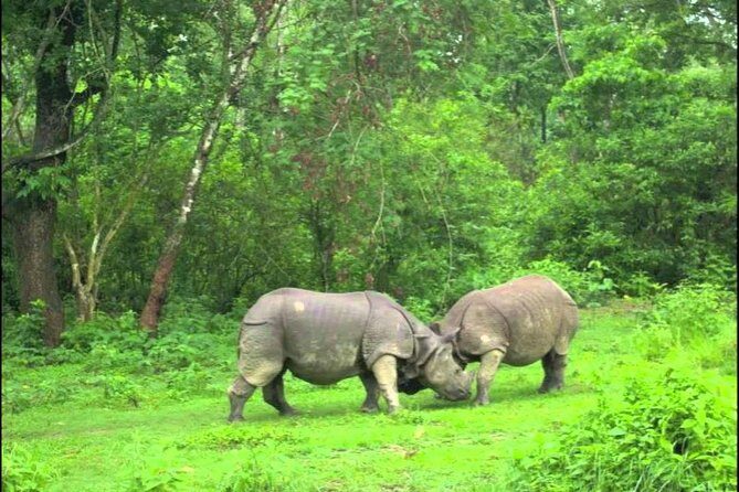 Mountains, Wildlife and Culture Tour - FAQ