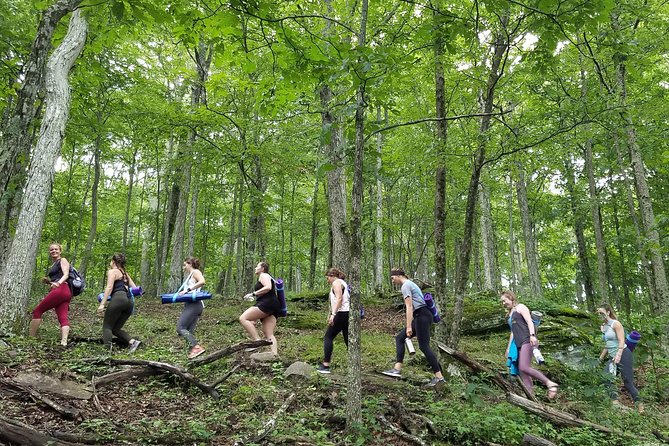 Mountaintop Yoga & Meditation Hike in Asheville - The Asheville Wellness Tours Experience