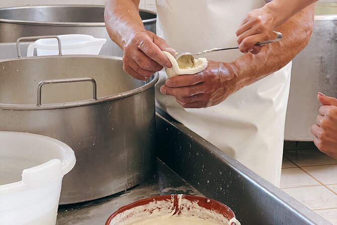 Mozzarella Experience - Cheese Tour and Tastings to Masseria Fragnite - Accessibility and Guest Comfort