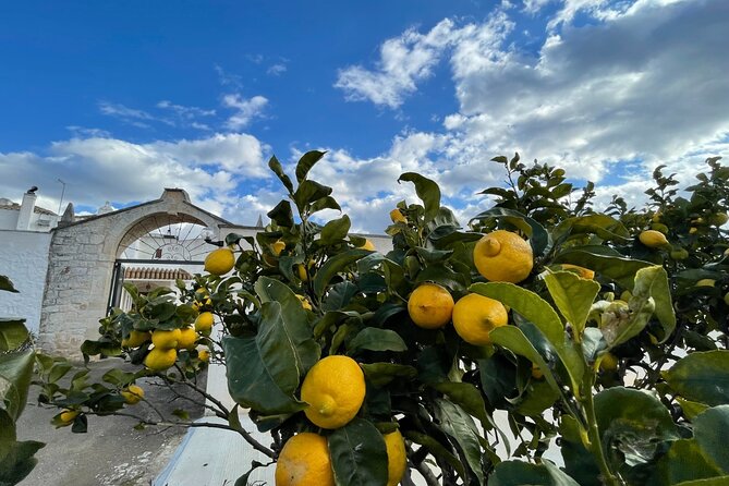 Mozzarella Experience - Authentic Mozzarella Making in Puglia: A Close-Up Look at the Mozzarella Experience
