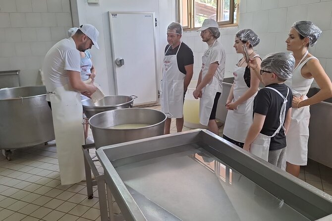 Mozzarella Experience With Tasting in Vico Equense - Accessibility and Additional Features