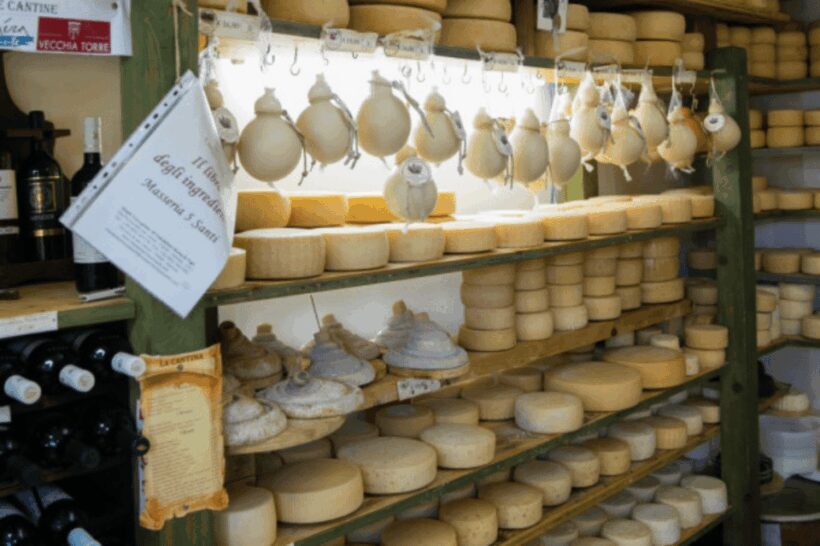 MOZZARELLA WITH YOUR OWN HANDS, EXPERIENCE ON THE FARM - An Authentic Look at a Cheese Farm in Apulia