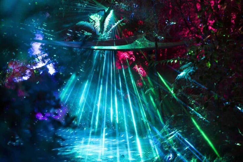 Mrama: Geyser Light Trail Entry Ticket - Geyser Light Trail at Te Puia: A Nighttime Spectacle in Rotorua
