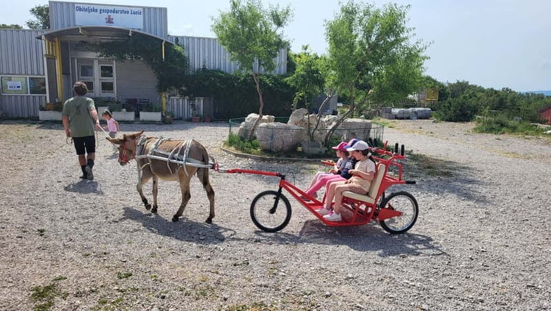 mrika (near Rijeka/Krk/Crikvenica) Donkey Farm Family Fun - An In-Depth Look at the Donkey Farm Experience