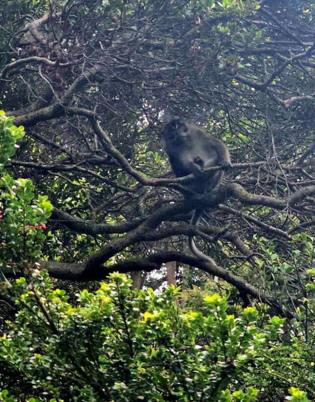 Mt.Apo : A Trek to the Highest Mountain in the Philippines - Key Points