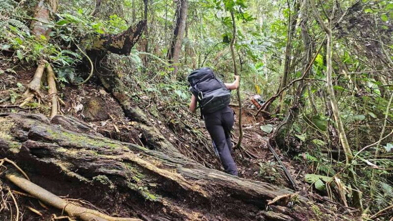 Mt.Apo : A Trek to the Highest Mountain in the Philippines - Practical Tips for the Trek