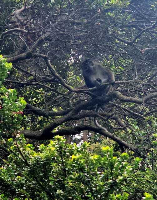 Mt.Apo : A Trek to the Highest Mountain in the Philippines - FAQs