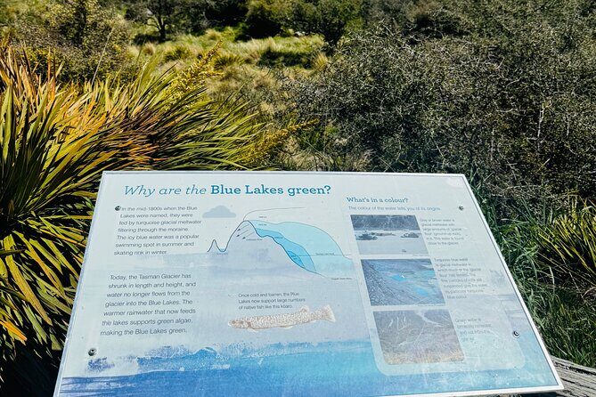 Mt. Cook Private Day Trip From Christchurch Via Lake Tekapo - The Sum Up