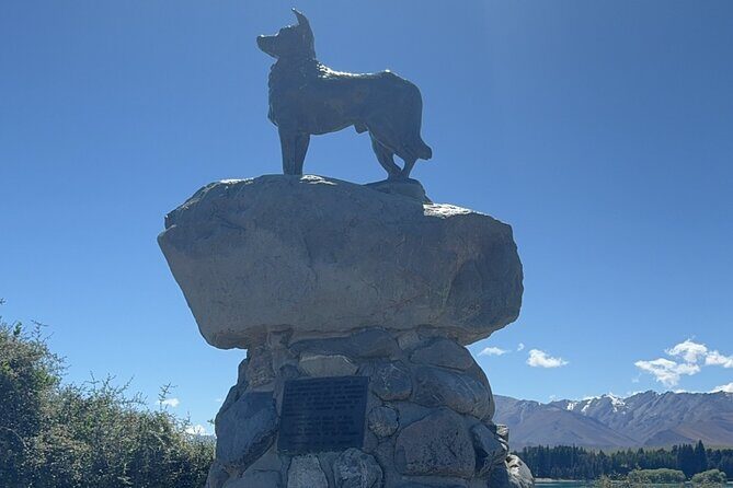 Mt. Cook Private Day Trip From Queenstown with Lake Tekapo - An Honest Look at the Itinerary