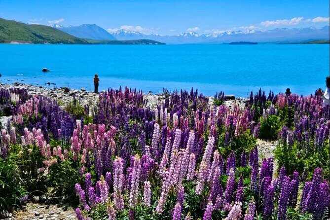 Mt. Cook Private Day Trip From Queenstown with Lake Tekapo - FAQ