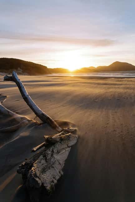 Mt. Eden, Piha Beach & Karekare Waterfalls - PRIVATE TOUR - An In-Depth Look at the Tour Itself