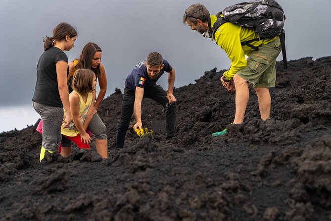 Mt Etna and Wine tasting tour from Catania - A Deep Dive into the Experience