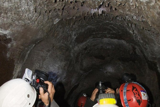 Mt. Etna nature and flavors half day Tour from Catania - Practical Details and Tips