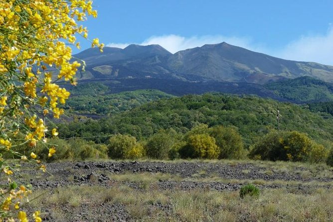 Mt. Etna nature and flavors half day Tour from Catania - FAQs
