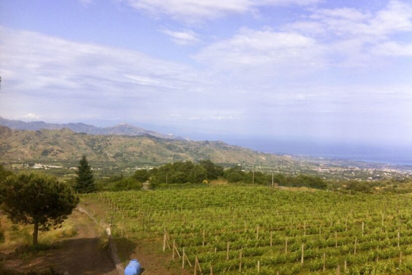 Mt. Etna Private Tour with Food and Wine Tasting - Key Points
