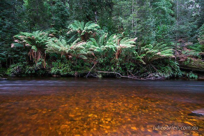Mt Field and Styx Valley Photography Tour - Frequently Asked Questions