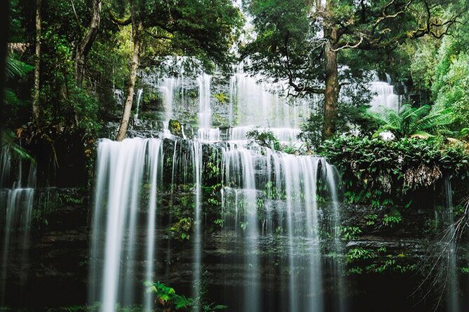 Mt Field National Park and Russell Falls from Hobart - Transport & Practicalities