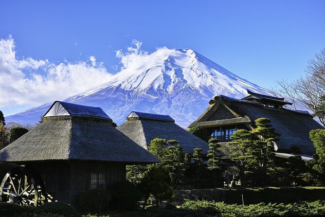 Mt. Fuji 1-Day Private Tour With English & Hindi-Speaking Driver - Pickup and Meeting Points