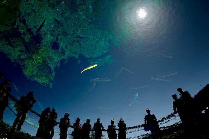 Mt. Fuji 1-Day Private Tour With English & Hindi-Speaking Driver - Accessibility and Additional Information