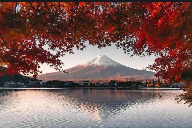 Mt. Fuji 1-DAY Private Tour With English Speaking Driver - Pickup and Accessibility Details