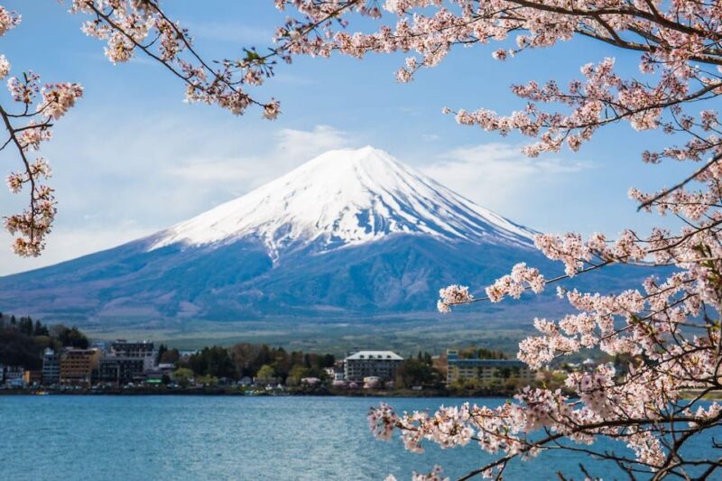 Mt. Fuji: 1-Day Tour With an English Speaking Driver - Key Points