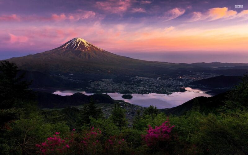 Mt. Fuji: 1-Day Tour With an English Speaking Driver - Tour Inclusions and Exclusions