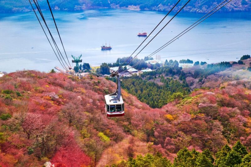 Mt. Fuji: 1-Day Tour With an English Speaking Driver - Accessibility and Special Requirements